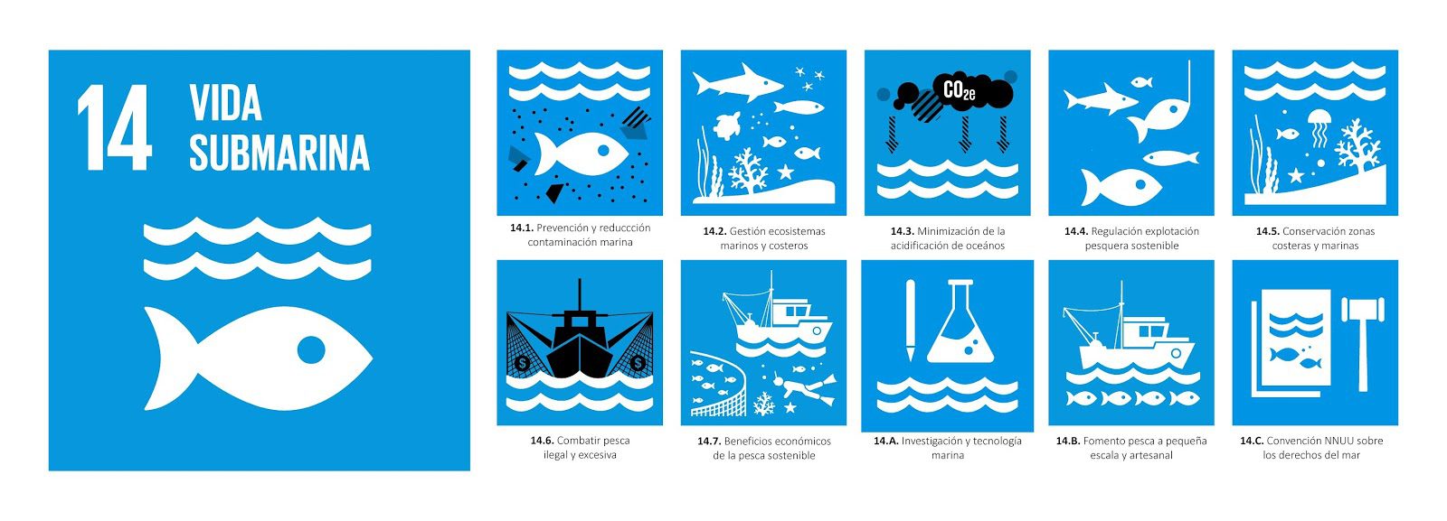 ODS 14: Vida submarina | Visión Desarrollista | Desarrollismo